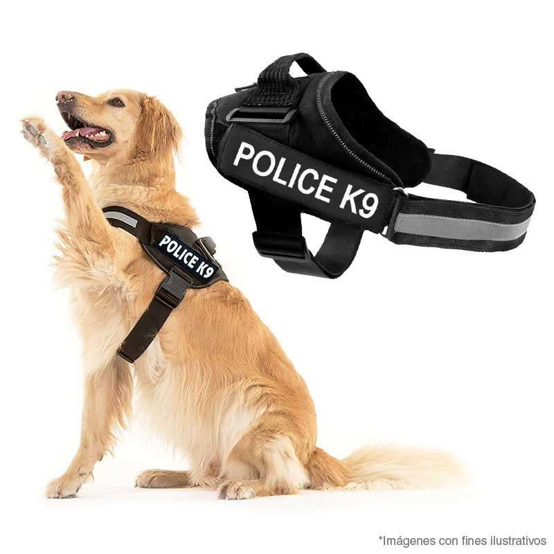 PECHERA PARA PERROS | Guateclic